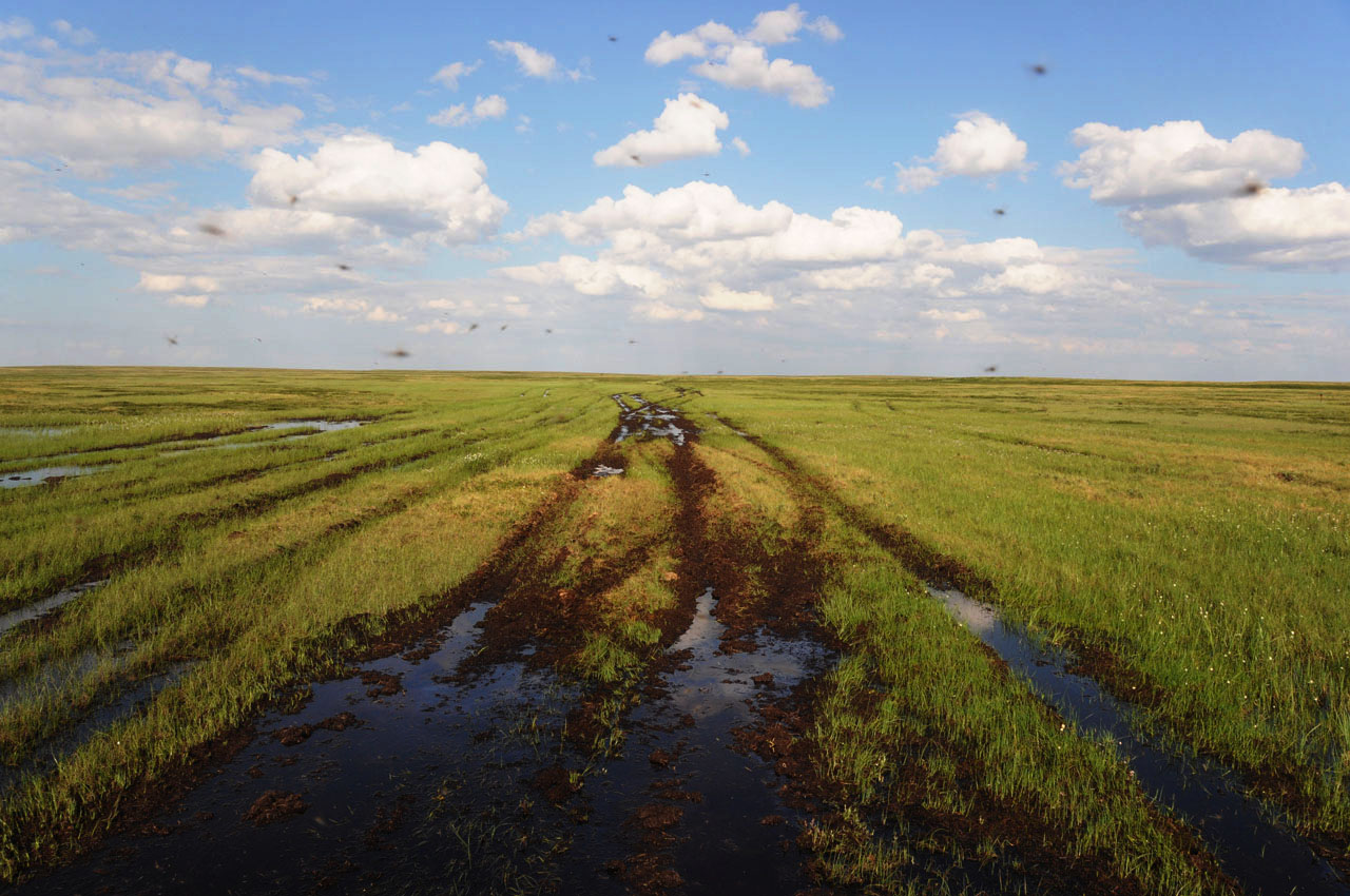 Ural Polarny 2012 | Dominik Szmajda WYPRAWY